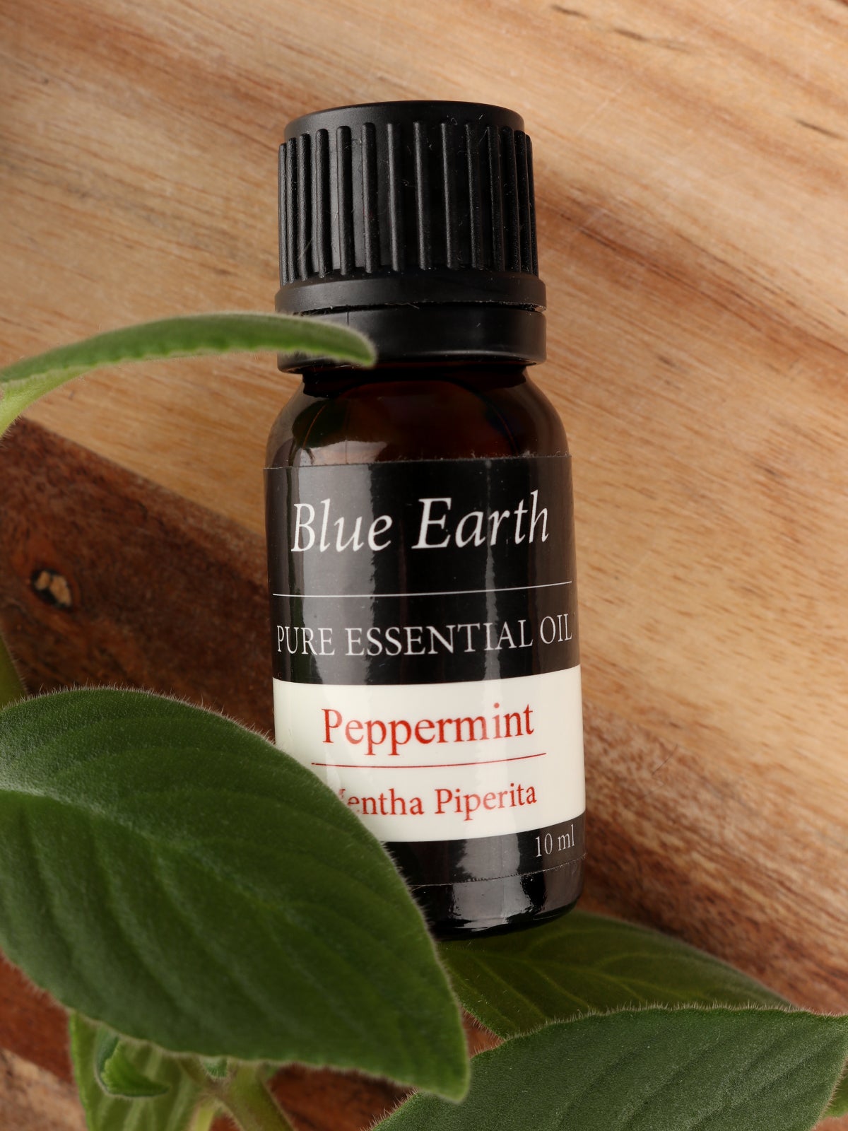 Blue Earth Essential Oil - Peppermint | Cosmic