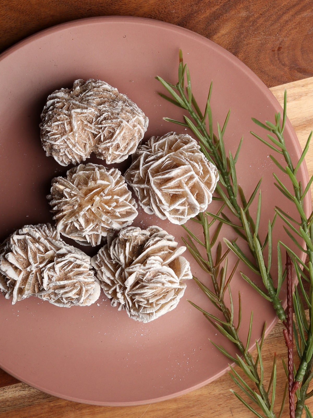 Desert Rose Large | Cosmic