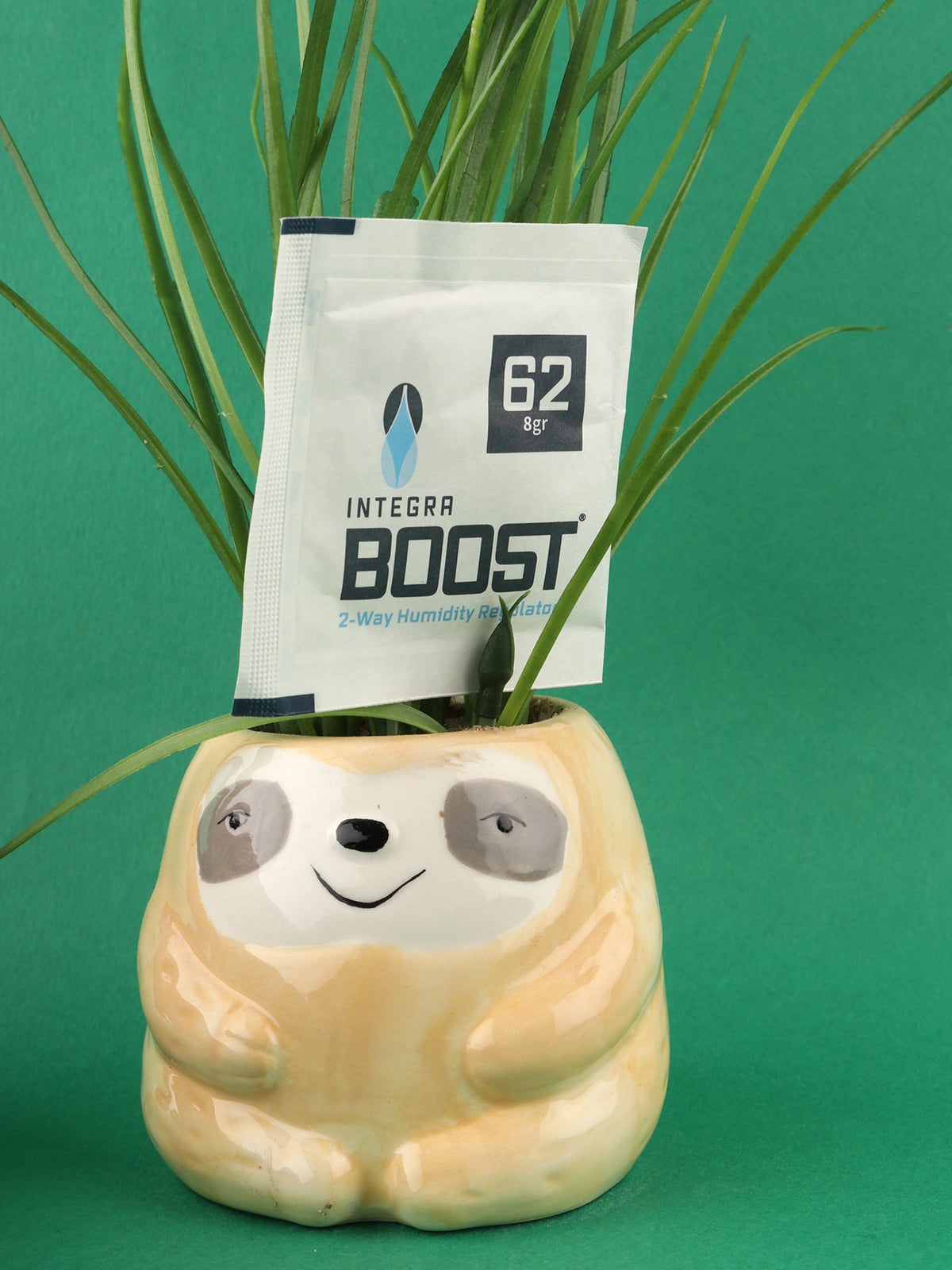 Integra Boost 8gm 62% Humidity Pack | Cosmic