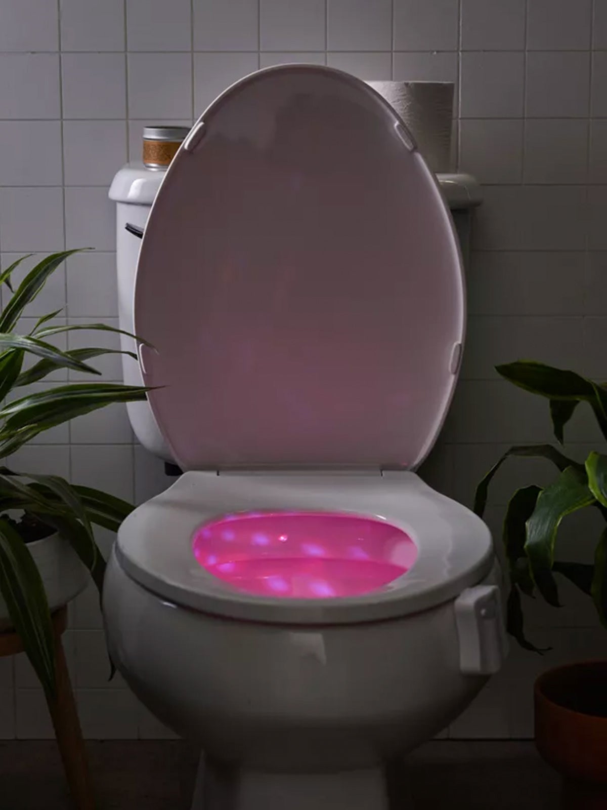 Led Toilet Disco Light | Cosmic